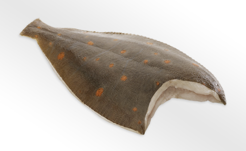 Scholle tiefgekühlt, küchenfertig, 1kg Beutel